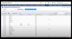 NetSuite - Lightspeed