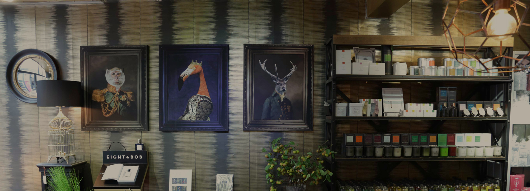 Papillon Living - Lightspeed