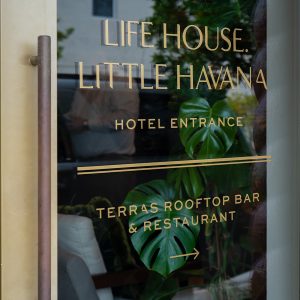 Life House - Lightspeed